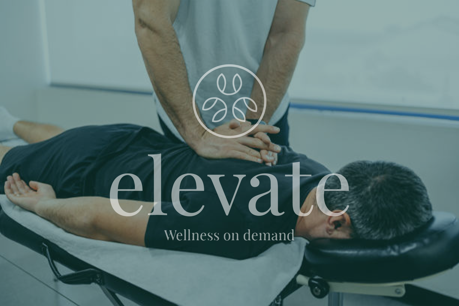 Chiropractic Services - Elevate Wellness